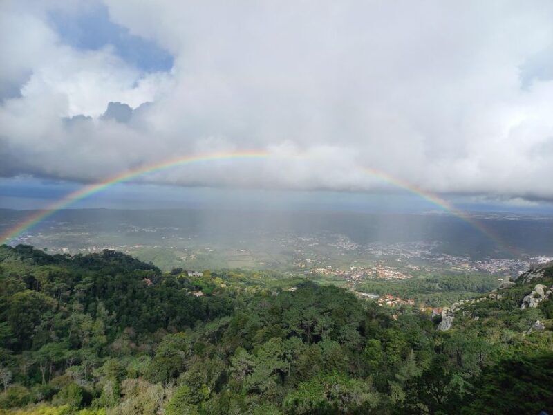Lisbon: Belem, Jeronimos Monastery, and Coach Museum Tour - An In-Depth Look at the Tour Experience