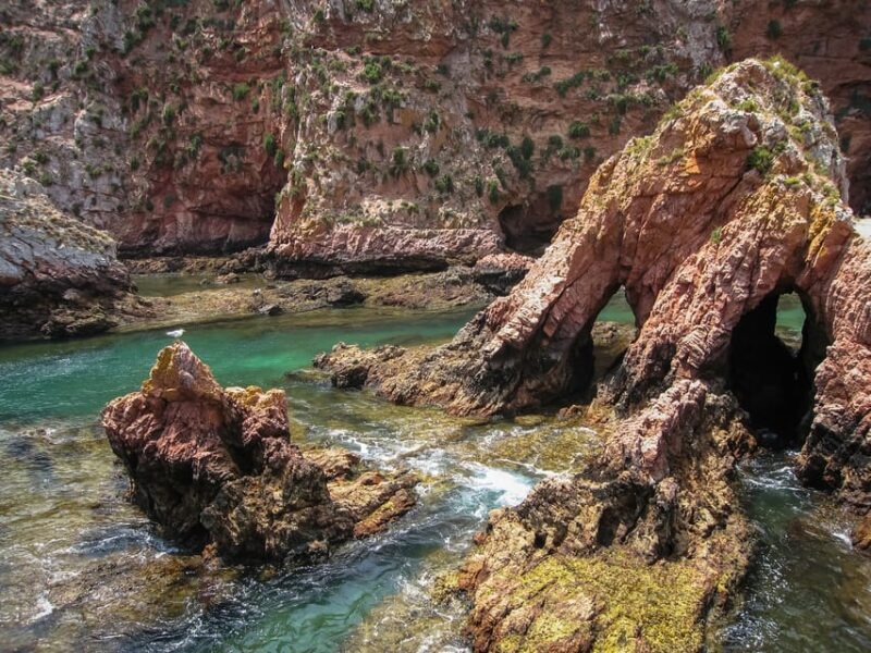 Lisbon: Berlenga Island Full Day Tour - Who Is This Tour Best For?