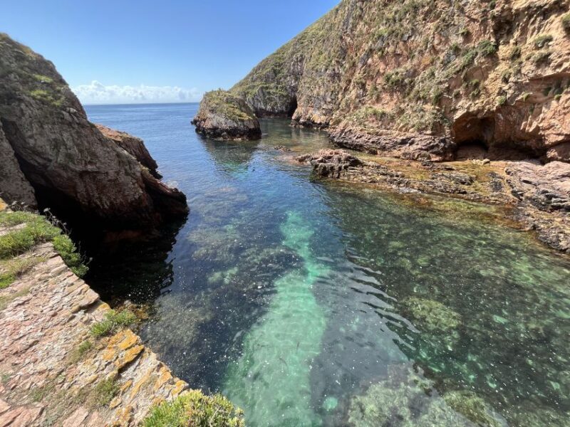 Lisbon: Berlenga Islands, Peniche & Óbidos Tour - Lisbon: Berlenga Islands, Peniche & Óbidos Tour — A Full-Day Adventure of Nature and History
