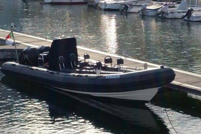 Lisbon : Birdwatching Boat Tour - Tagus Estuary - The Sum Up