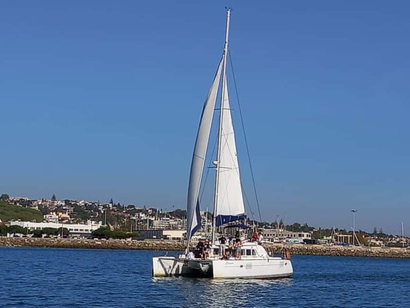 Lisbon: Catamaran Cruise with Drinks & Pastel de Nata - Who Will Love This Experience?