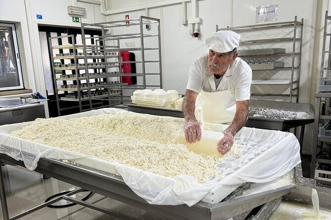 Lisbon Cheese Factory Visit, Wine Tasting and Tile Painting Tour - Practical Details & What You Can Expect