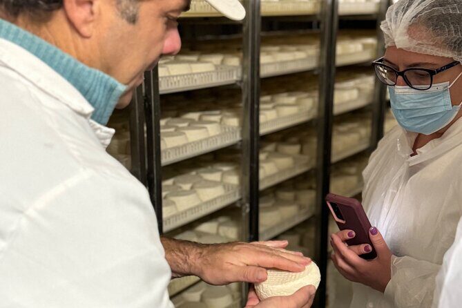 Lisbon Cheese Factory Visit, Wine Tasting and Tile Painting Tour - FAQ