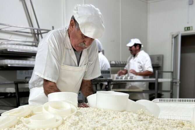 Lisbon Cheese Factory Visit, Wine Tasting and Tile Painting Tour - Final Thoughts