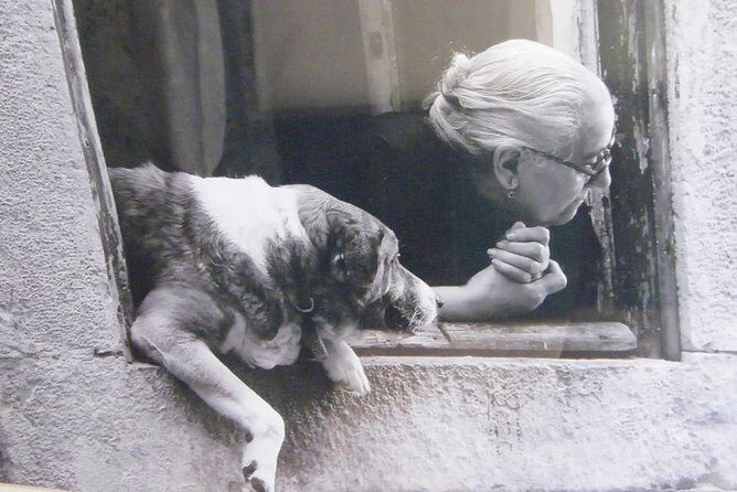 Lisbon city of the seven hills - Private Tour - FAQ