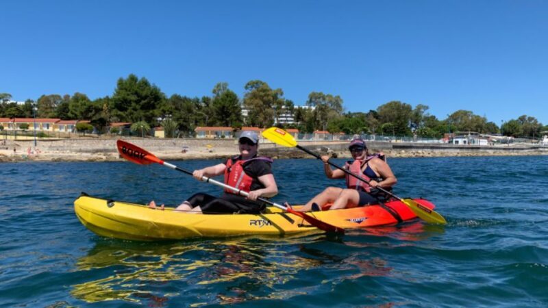 Lisbon: Coast Guided Kayak Tour - Key Points