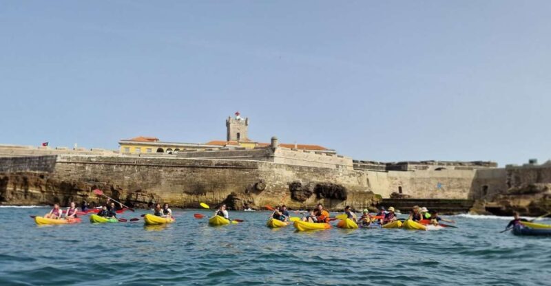 Lisbon: Coast Guided Kayak Tour - A Closer Look at the Lisbon Coast Kayak Tour