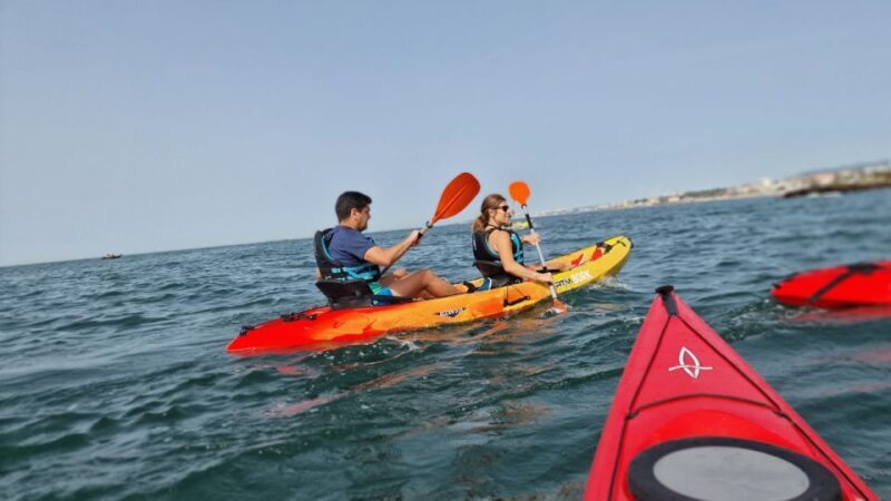 Lisbon: Coast Guided Kayak Tour - Frequently Asked Questions