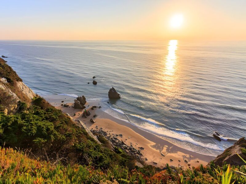 Lisbon Coast Tour: Paradise Beaches & Famous Beach Bars - Practical Considerations