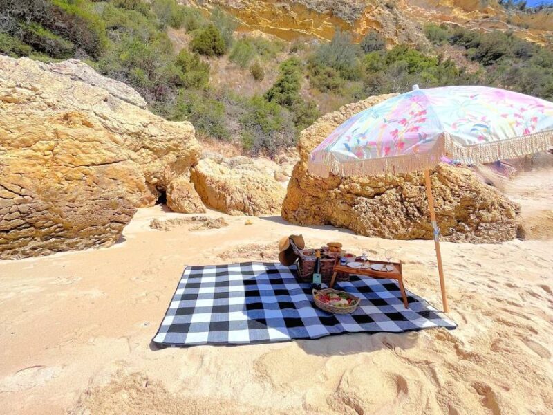 Lisbon Coast Tour: Paradise Beaches & Famous Beach Bars - Final Thoughts: Who Is This Tour Best For?