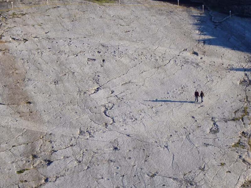 Lisbon: Dinosaur Footprints, Caves, and Obidos Tour - An In-depth Look at the Tour Itinerary