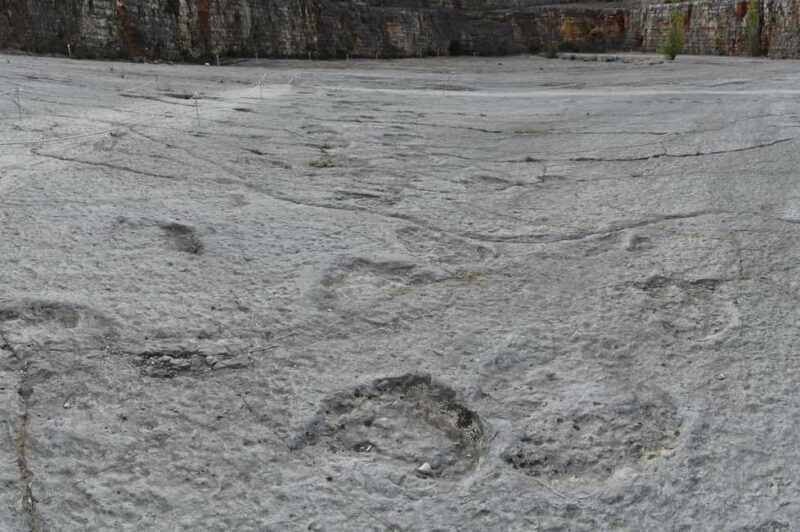 Lisbon: Dinosaur Footprints, Caves, and Obidos Tour - FAQ