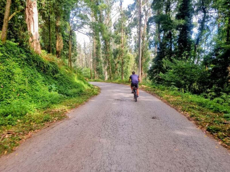 Lisbon: E-Bike Adventure to Belém & Monsanto com Degustação - Who Will Love This Tour?