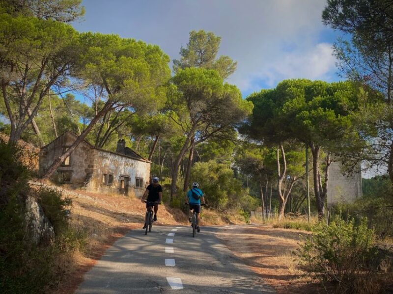 Lisbon: E-bike Trip from the Sintra Mountains to Cascais Sea - Who Would Enjoy This Tour?