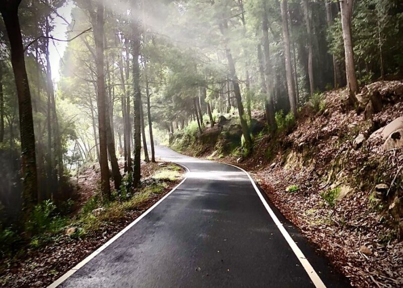 Lisbon: E-bike Trip from the Sintra Mountains to Cascais Sea - Final Thoughts