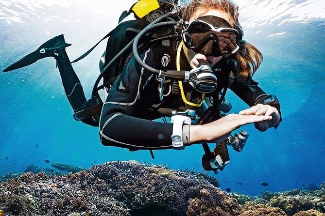 Lisbon Eco-Try Dive - Diving Baptism - Introduction