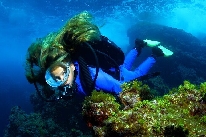 Lisbon Eco-Try Dive - Diving Baptism - Who Will Love This Experience?