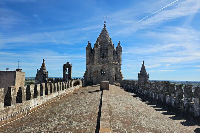 Lisbon : Évora (c/ Cathedral & Capela Ossos), Cartuxa & Cortiçarte - Who Is This Tour For?