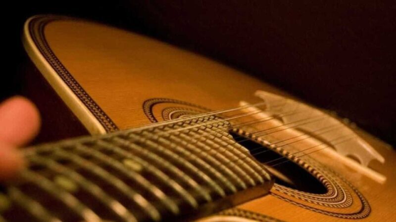 Lisbon: Fado Experience Private Tour - Who Should Consider This Tour?