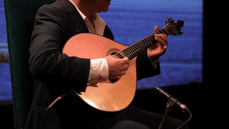 Lisbon: Fado in Chiado Live Show - The Musical Performers: Talented and Passionate