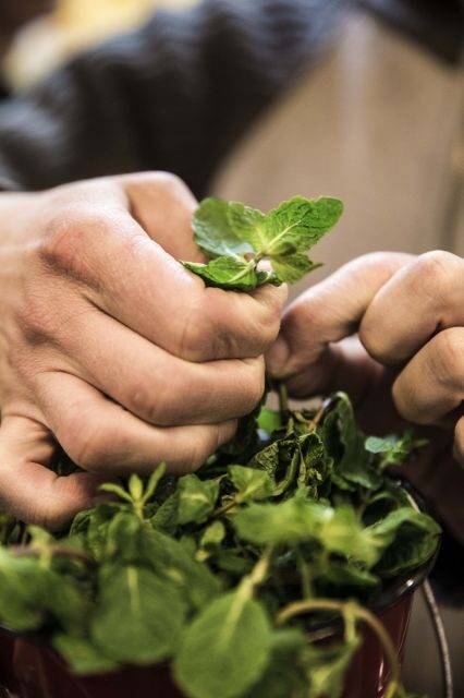 Lisbon: Food and Culture 3-Hour Walking Tour - Final Thoughts: Who Will Love This Tour?