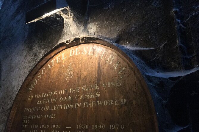 Lisbon Getaway: Private Arrábida Wine & Food Tour - How the logistics work