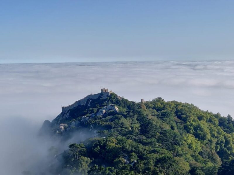 Lisbon: Half-Day Sintra Tour with Pena Palace and Regaleira - Experience the Charm of Sintra in Half a Day