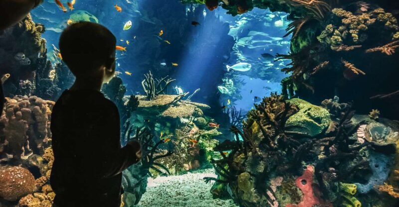 Lisbon: Oceanário de Lisboa Entrance Ticket - Frequently Asked Questions