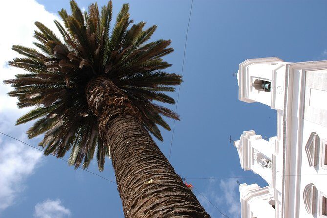 Lisbon Old town Tour - FAQs