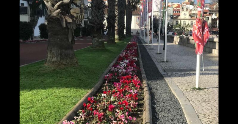 Lisbon: Pena Palace, Sintra, Cascais, and Cabo Roca Day Trip - Key Points