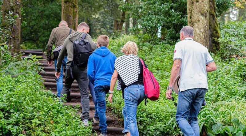 Lisbon: Pena Palace, Sintra, Roca & Cascais by Van - FAQ