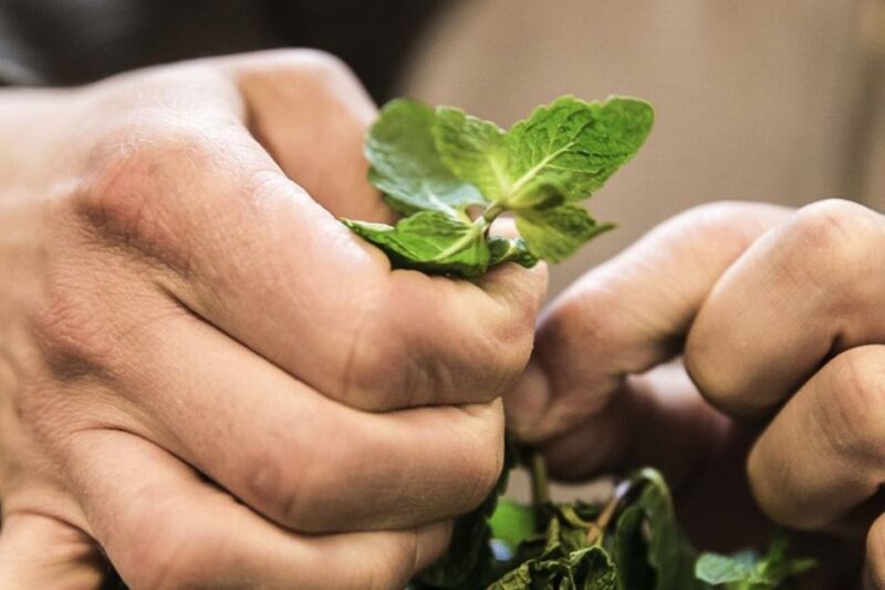 Lisbon: Portuguese Petiscos Tasting Tour by E-Bike - FAQ