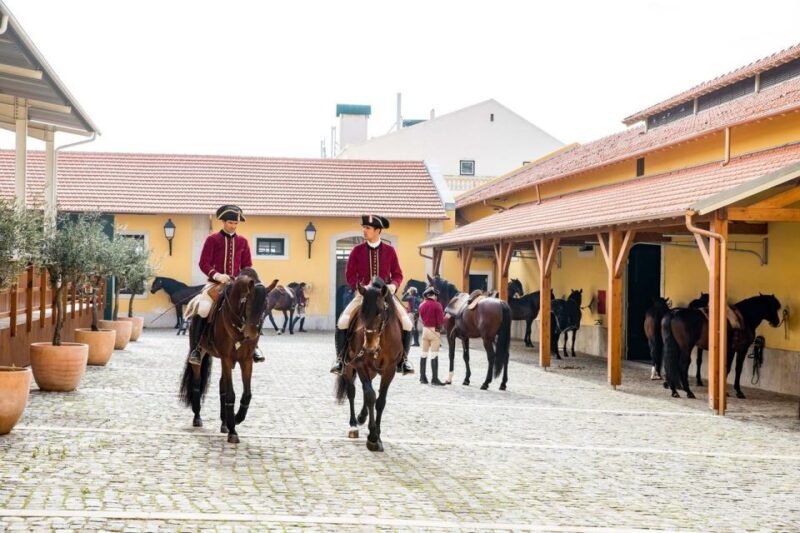 Lisbon: Portuguese Riding School Trainig with Lusitano Horse - Key Points