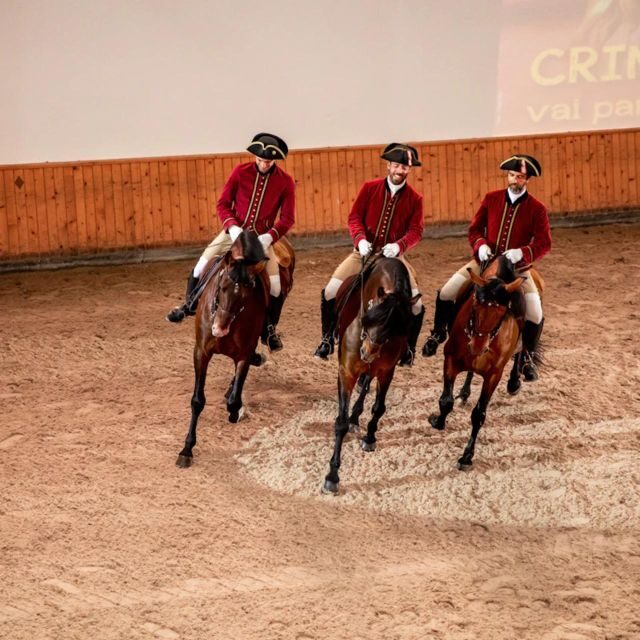 Lisbon: Portuguese Riding School Trainig with Lusitano Horse - A Close Look at the Experience