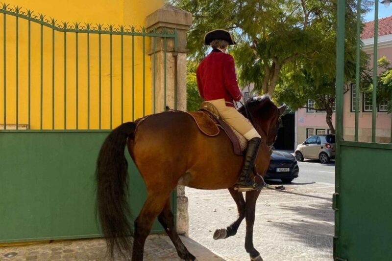 Lisbon: Portuguese Riding School Trainig with Lusitano Horse - Who Will Love This Experience?