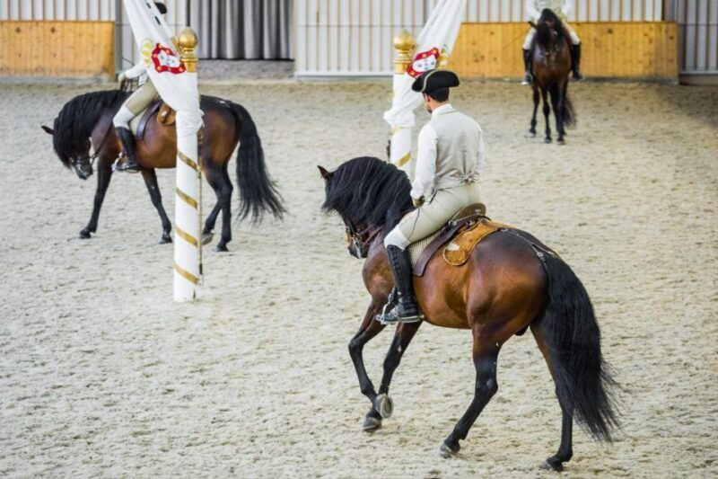 Lisbon: Portuguese Riding School Trainig with Lusitano Horse - FAQs
