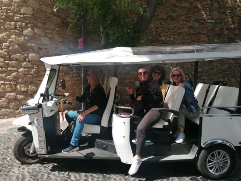Lisbon: Private City Tour in Alfama and Chiado with Tuk Tuk - Key Points