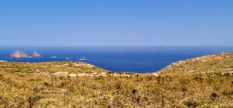 Lisbon: Private Full Day Tour to Berlengas Island - Lisbon: Private Full Day Tour to Berlengas Island