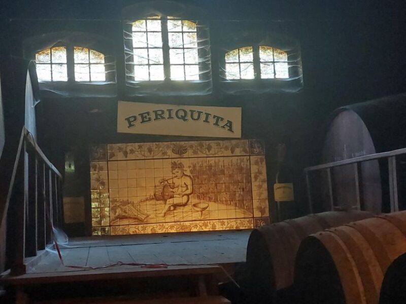 Lisbon: Private Full-Day Wine Tasting Tour in a premium car - An Inside Look at the Tour Experience