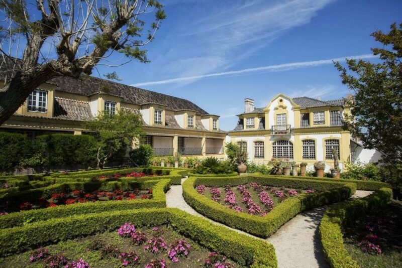 Lisbon: Private Full-Day Wine Tasting Tour in a premium car - Final Thoughts: Is This Tour Worth It?