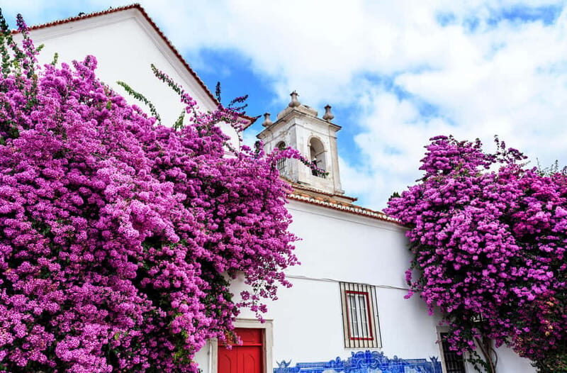 Lisbon: Private Old Town Tuk-Tuk Tour - FAQ