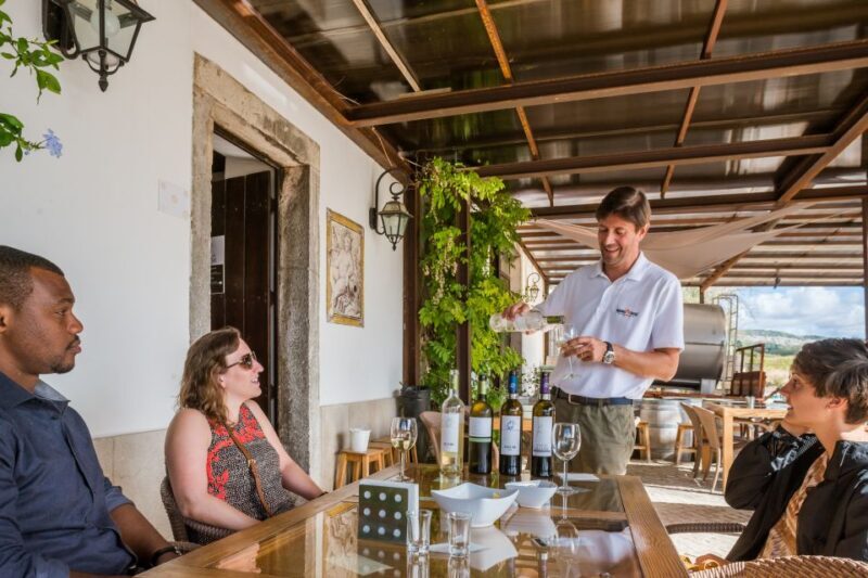 Lisbon Private Setúbal Region Wine Tasting Tour - An In-Depth Look at the Experience