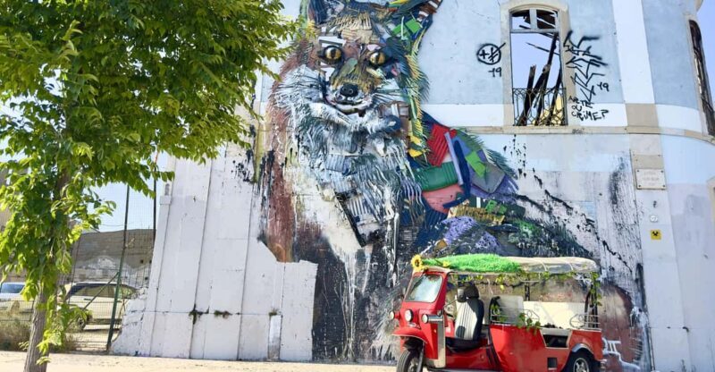 Lisbon: Sightseeing City Tour by Tuk-Tuk - What to Expect During the Tour