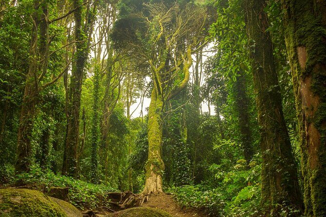 Lisbon: Sintra, Pena Palace , Cascais & Cabo Small Group Day Tour - Cascais – The Coastal Gem