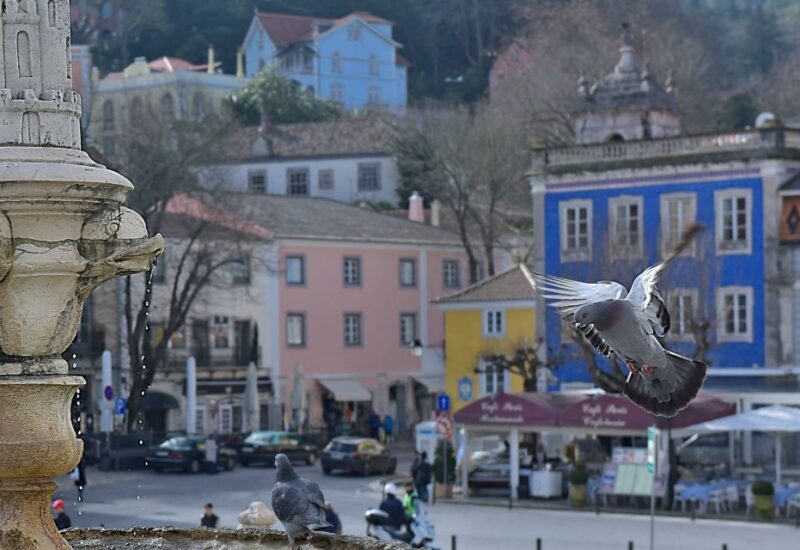 Lisbon: Sintra, Pena Palace, Quinta Regaleira, Cascais Tour - Exploring the Highlights: What’s Included and What to Expect