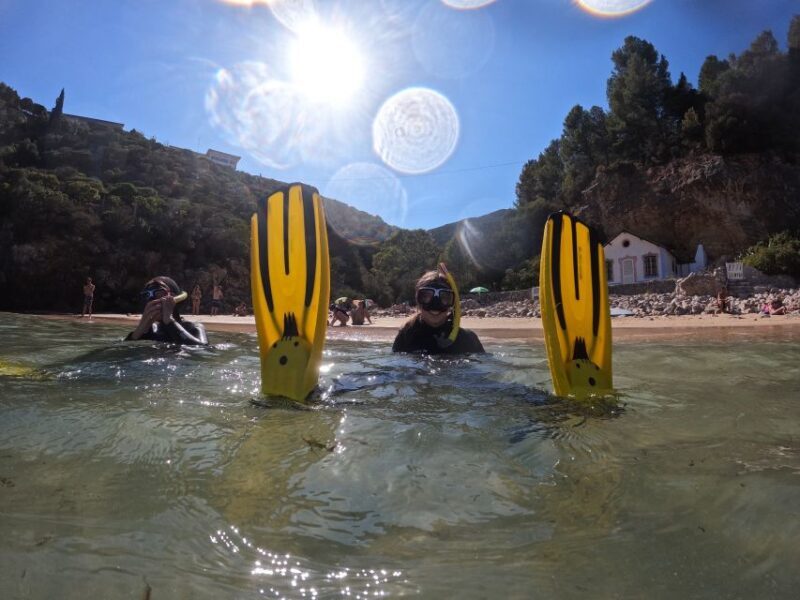 Lisbon: Snorkeling experience in Marine Reserve with photos - The Sum Up