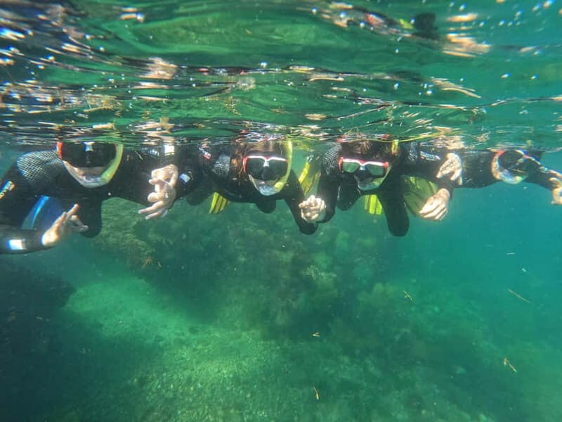 Lisbon: Snorkeling experience in Marine Reserve with photos - FAQs