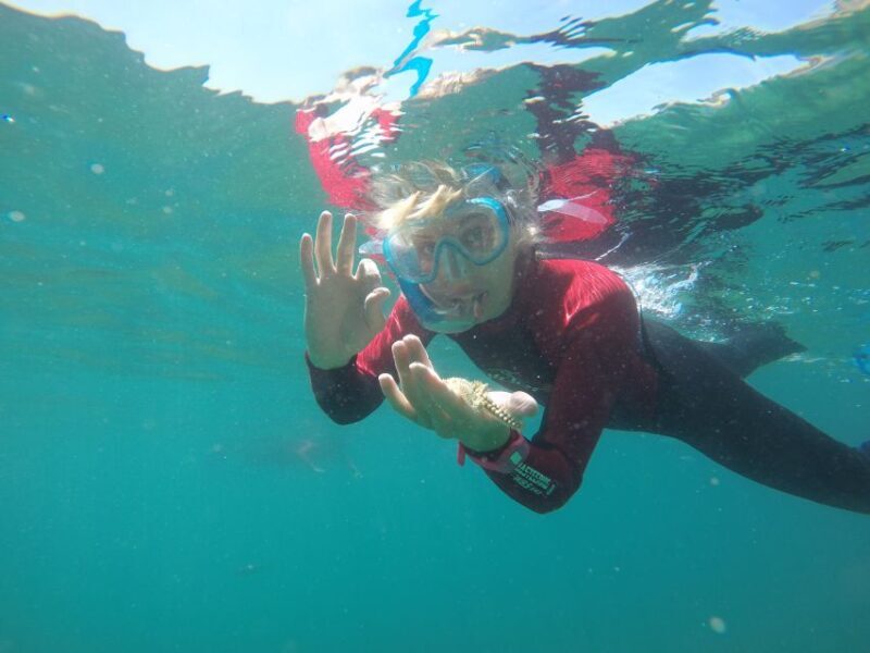 Lisbon: Snorkelling in Sesimbra/Arrábida Natural Park - Why This Snorkeling Tour Stands Out