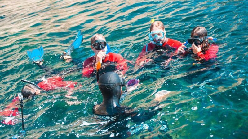 Lisbon: Snorkelling in Sesimbra/Arrábida Natural Park - Practicalities and Booking