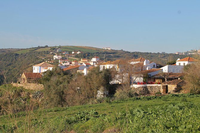 Lisbon Southern Region (Fernão Pó) Wine Tasting Private Tour - Who Will Love This Experience?